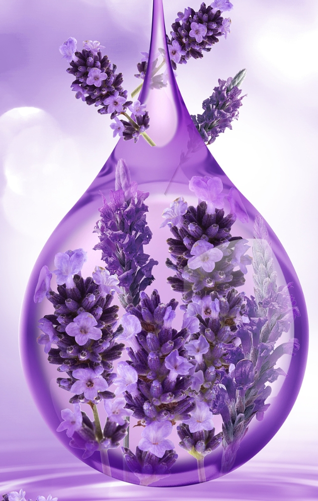 Healtech – Innovation of Scientific Beauty